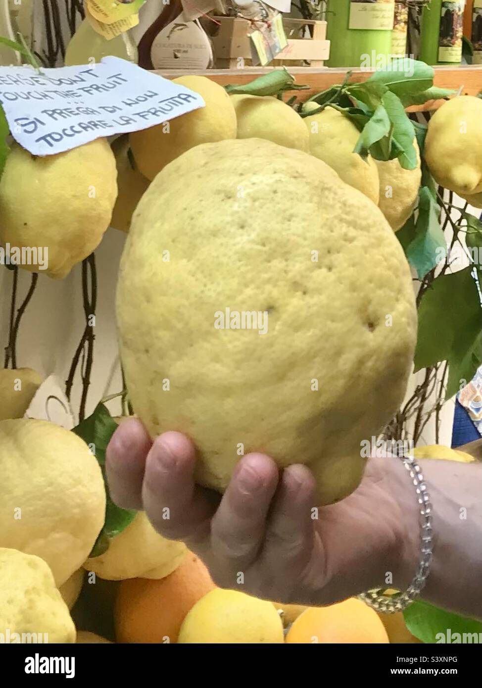 The large lemons from the Amalfi coast Stock Photo - Alamy