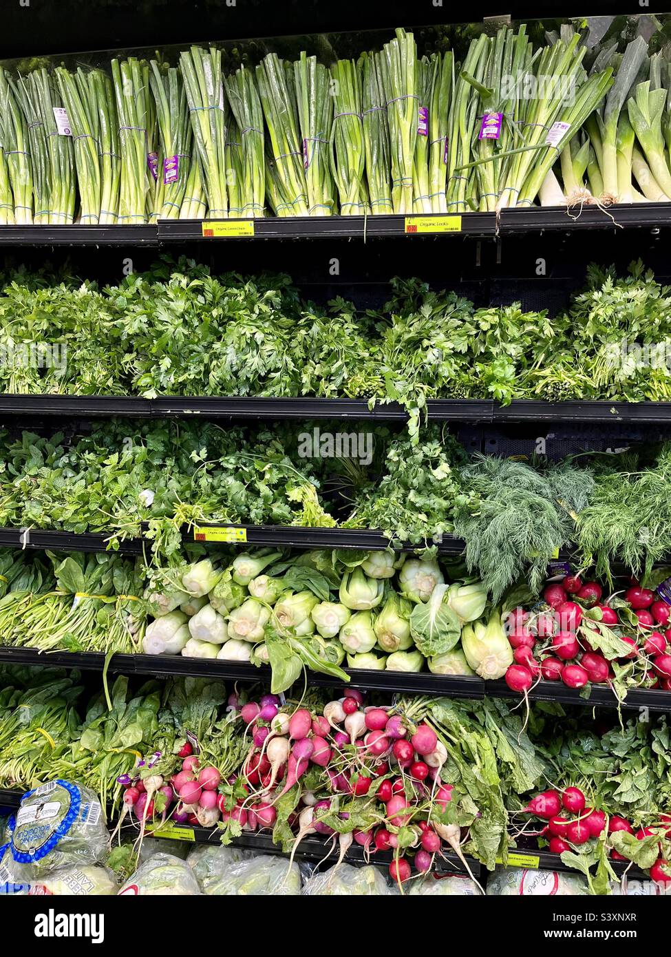 Green Vegetables on shells Stock Photo - Alamy