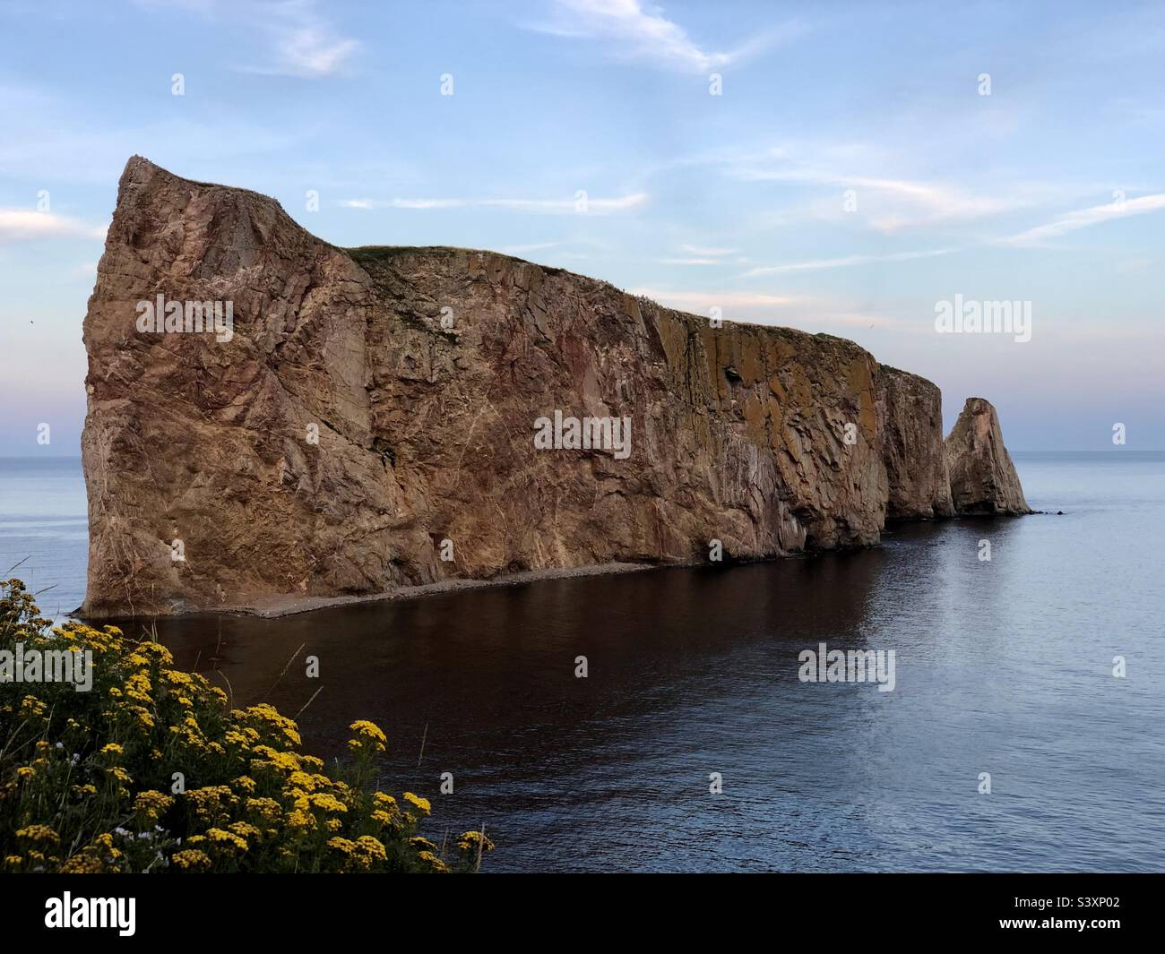 Perse hi-res stock photography and images - Alamy