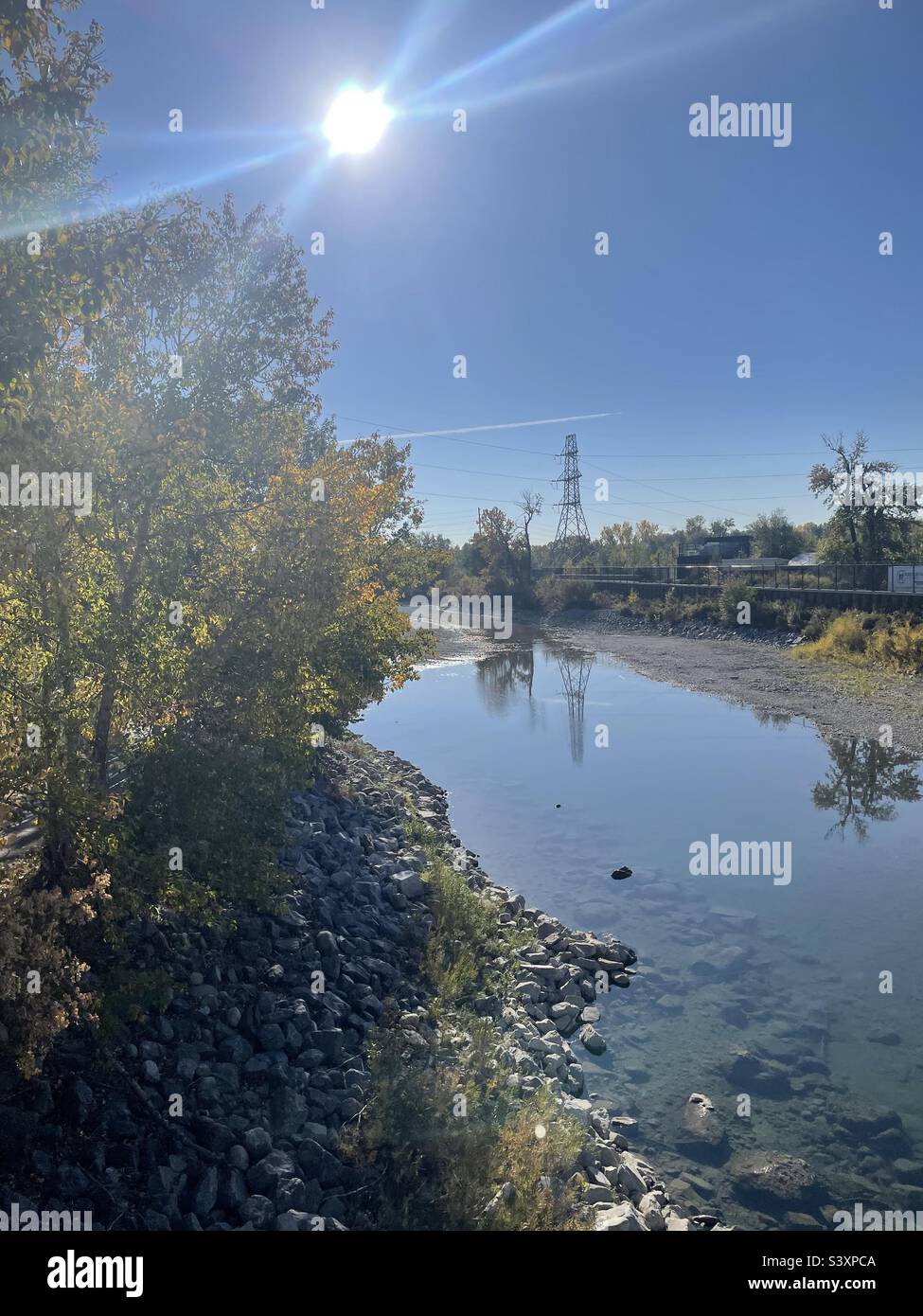 Calgary trees hi-res stock photography and images - Alamy