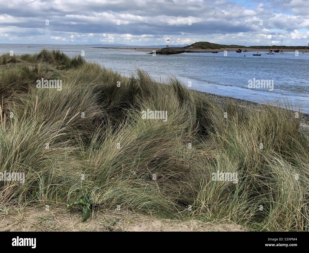 Windswept grasses and small boats in the distance off the coast of ...
