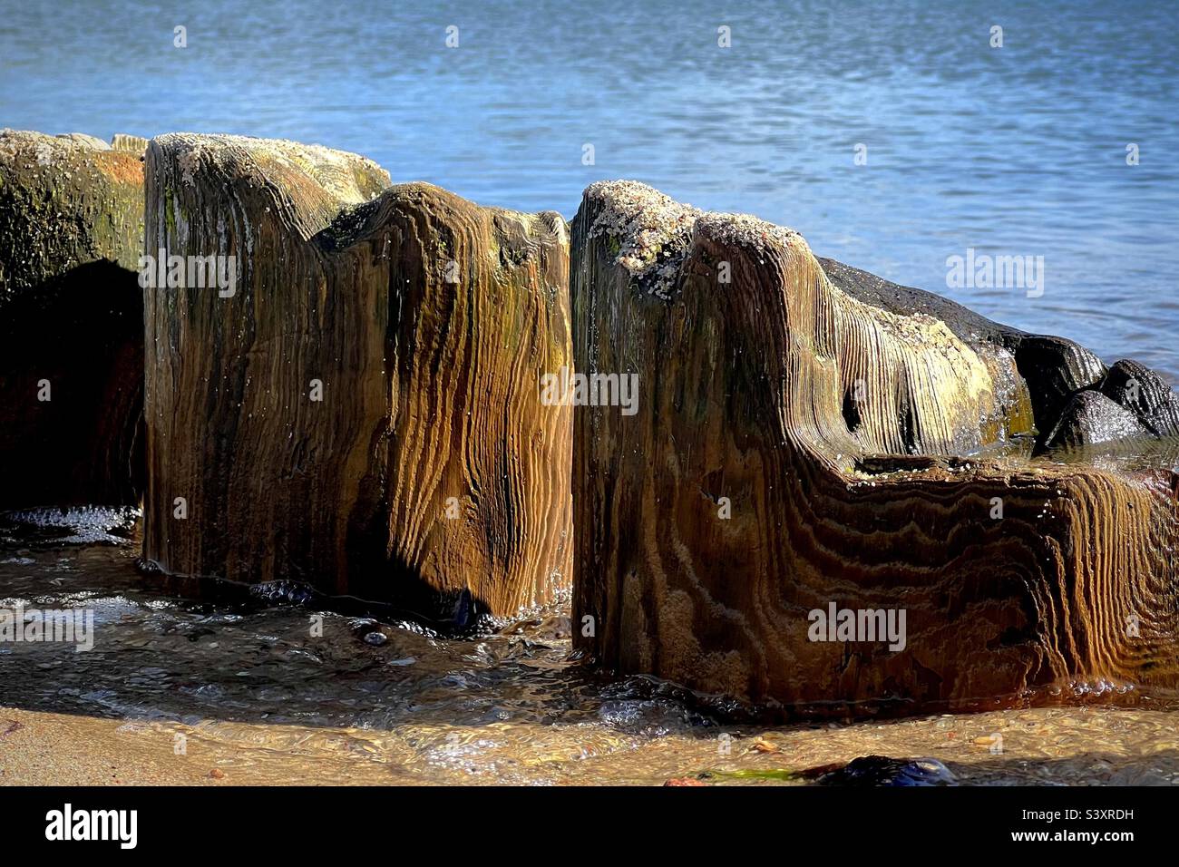 Baltic sea wooden breakwater hi-res stock photography and images - Alamy