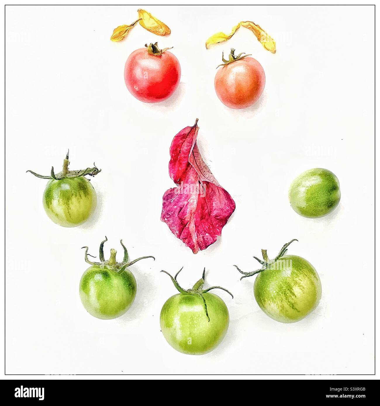 Digital tomatoes hi-res stock photography and images - Alamy