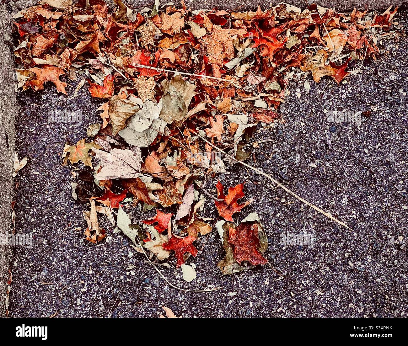 Pile of fall leaves hi-res stock photography and images - Alamy