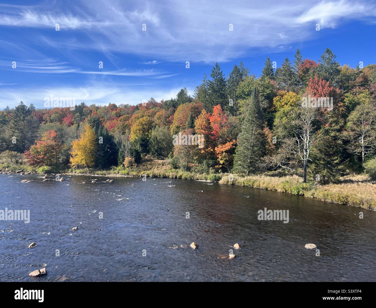 Beautiful fall foliage hi-res stock photography and images - Alamy