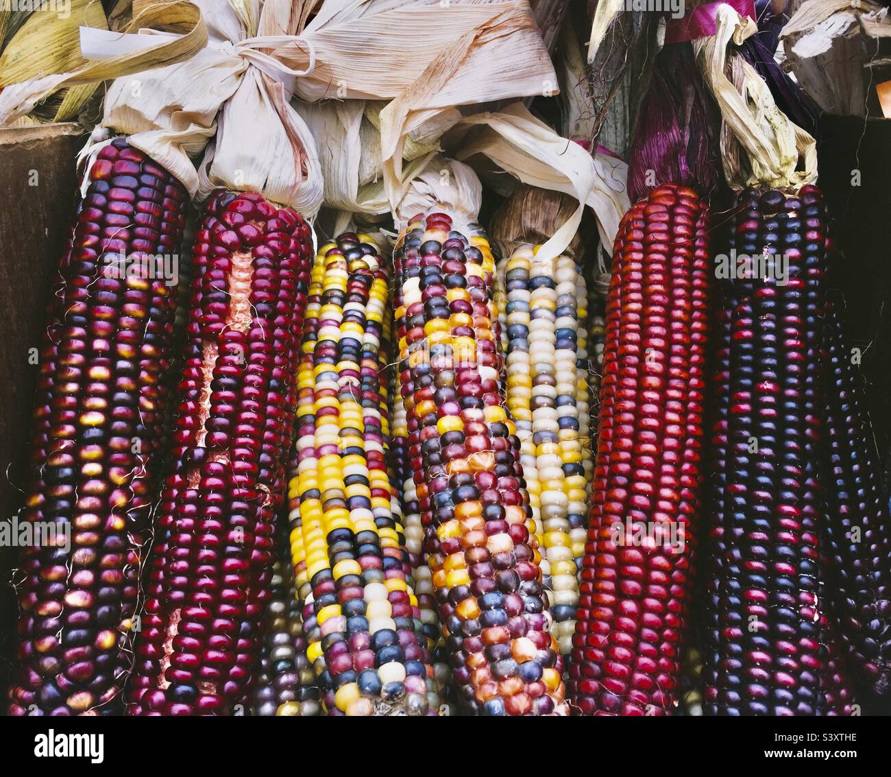 Colourful corn hi-res stock photography and images - Alamy