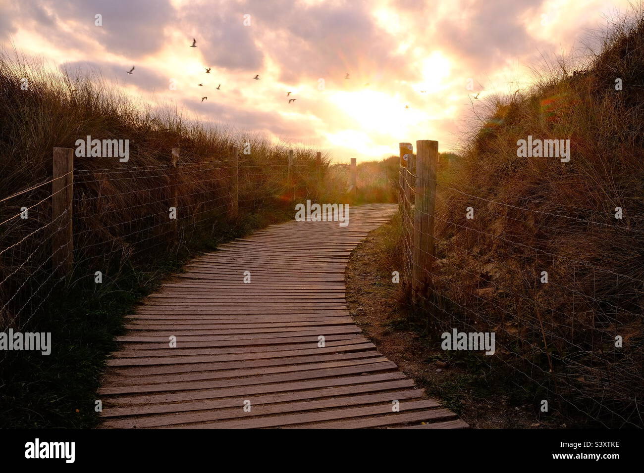 Natural boardwalk hi-res stock photography and images - Alamy
