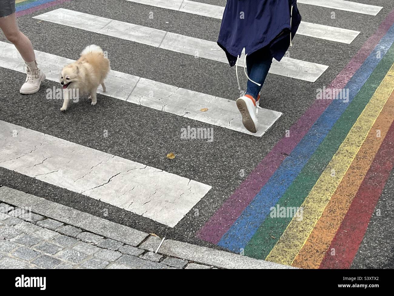 Rainbow zebra crossing hi-res stock photography and images - Alamy