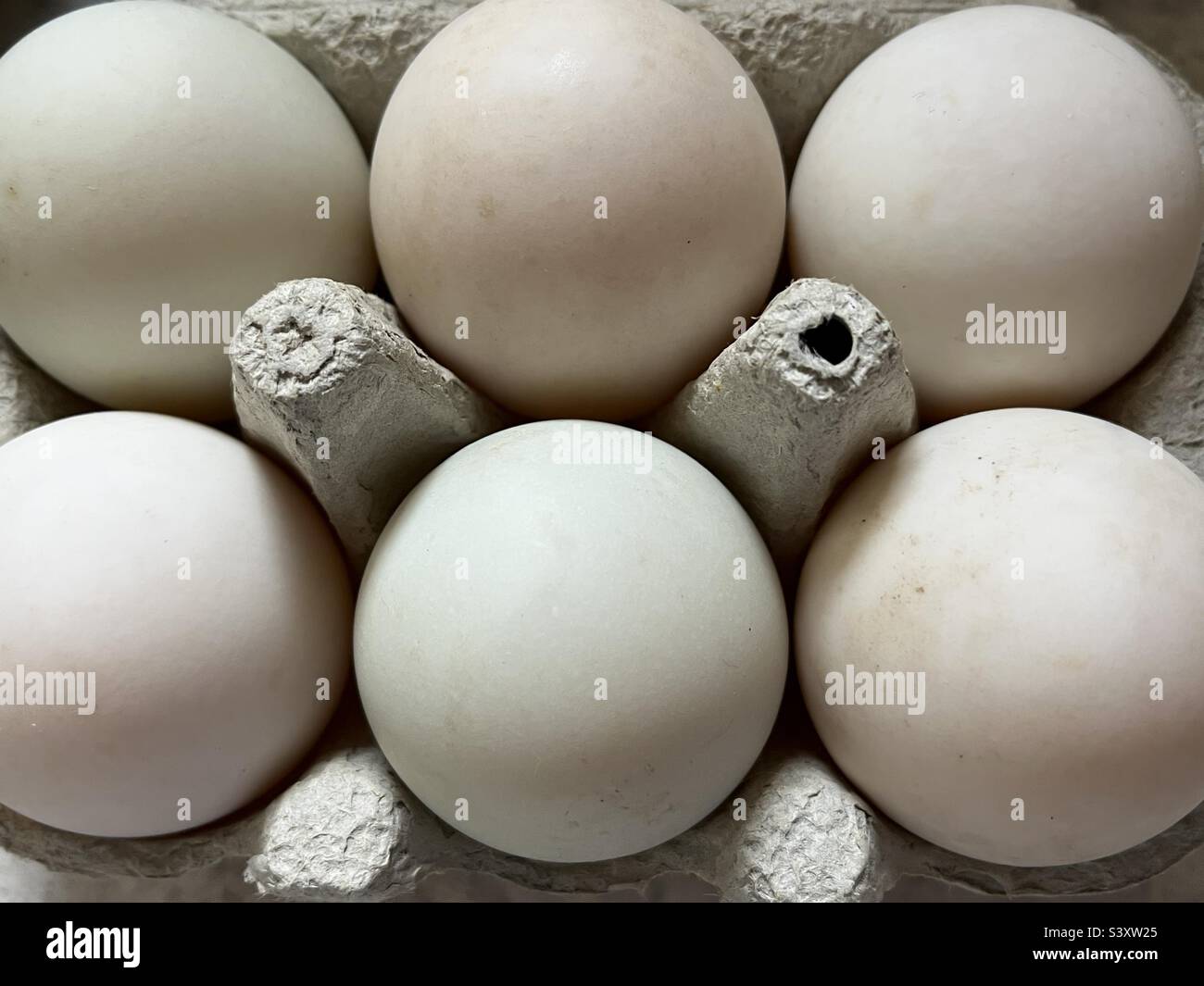 Cook box hi-res stock photography and images - Alamy