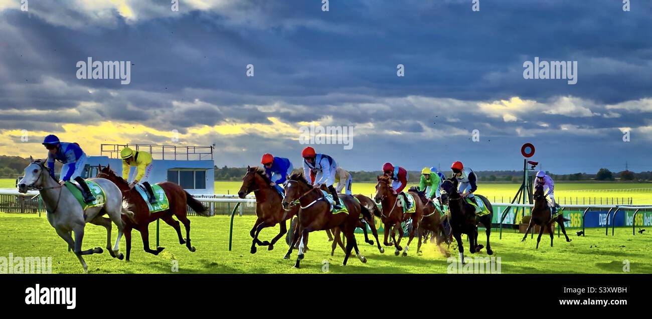 Race course horse hi-res stock photography and images - Alamy