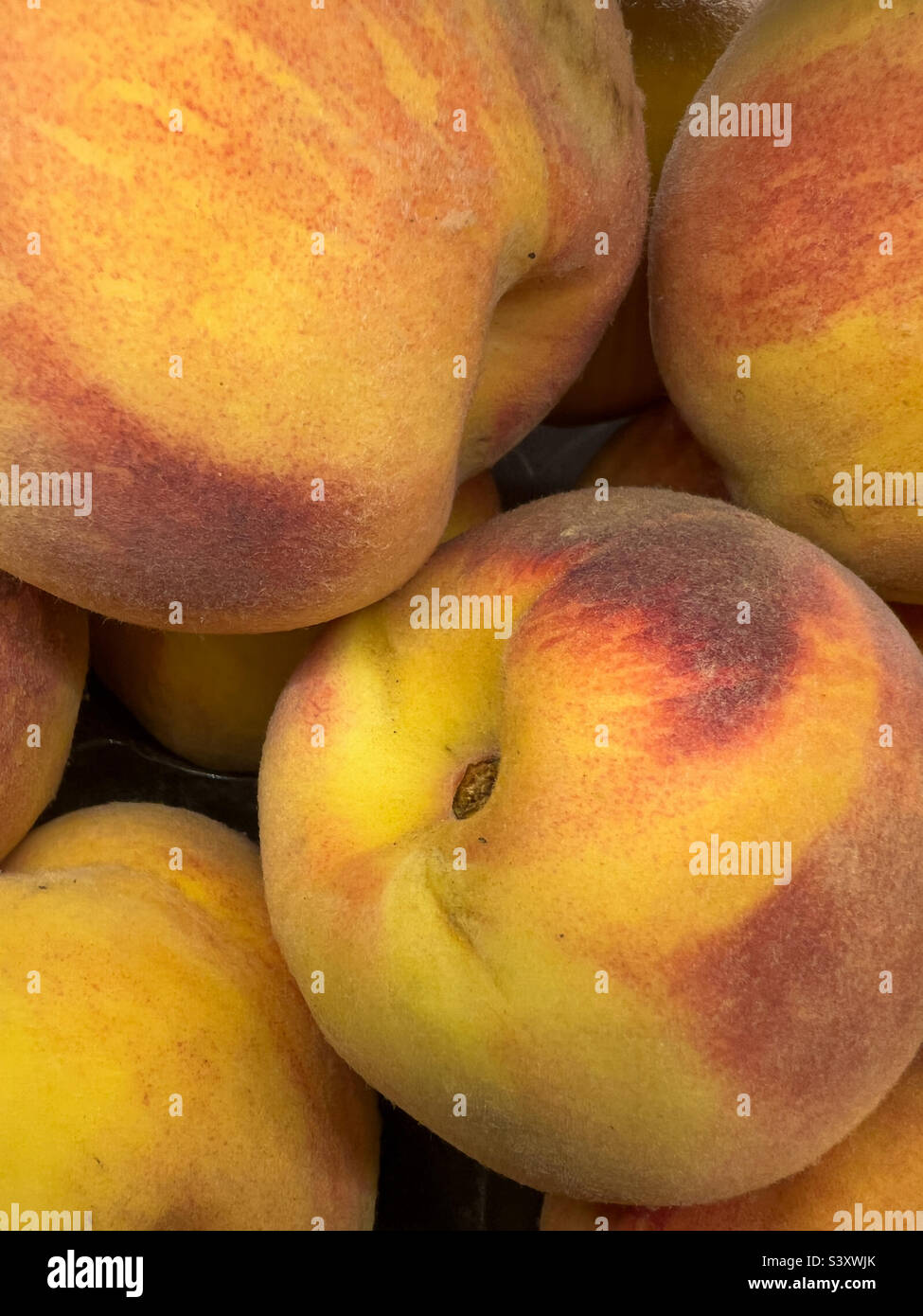 Harvesting sweet peaches hi-res stock photography and images - Alamy
