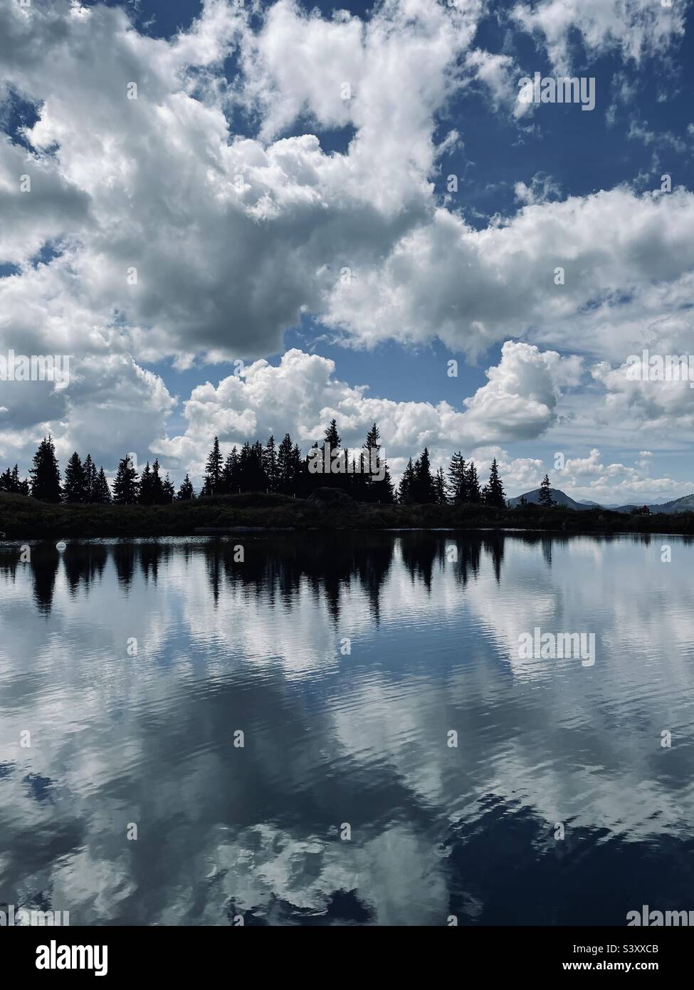 The sea tree hi-res stock photography and images - Alamy