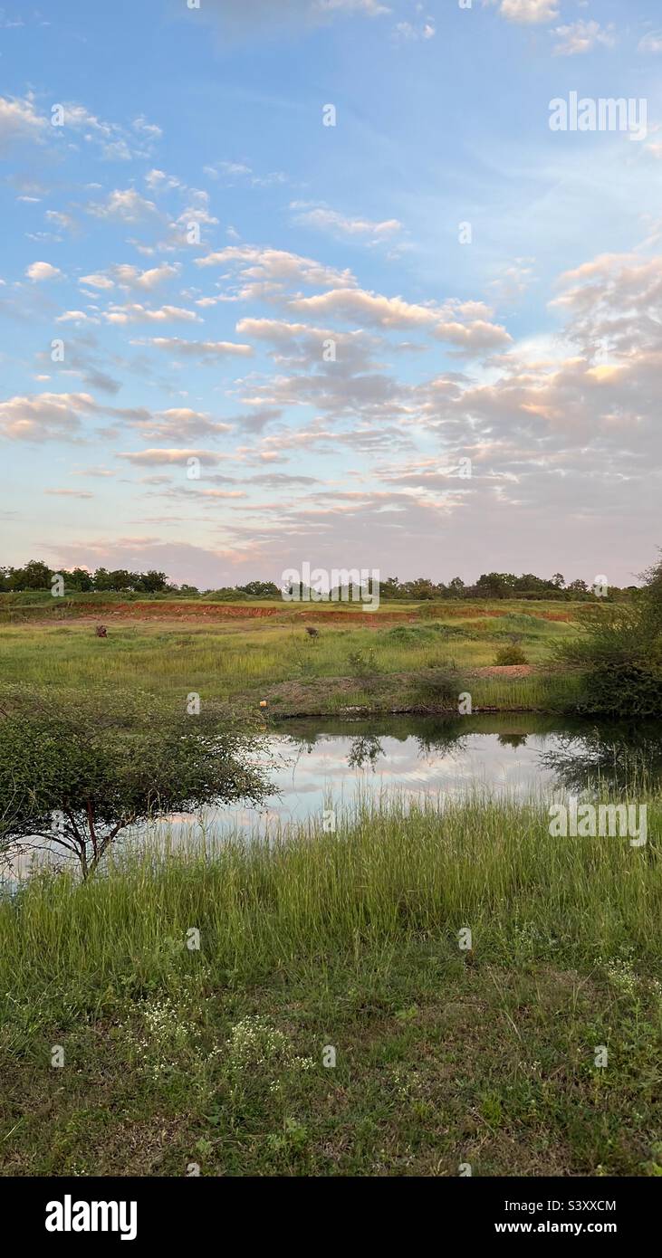 Heavenly beautiful hi-res stock photography and images - Alamy