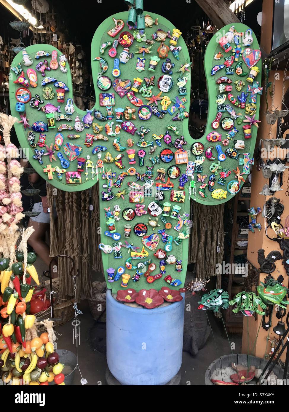 Magnets on cactus hi-res stock photography and images - Alamy