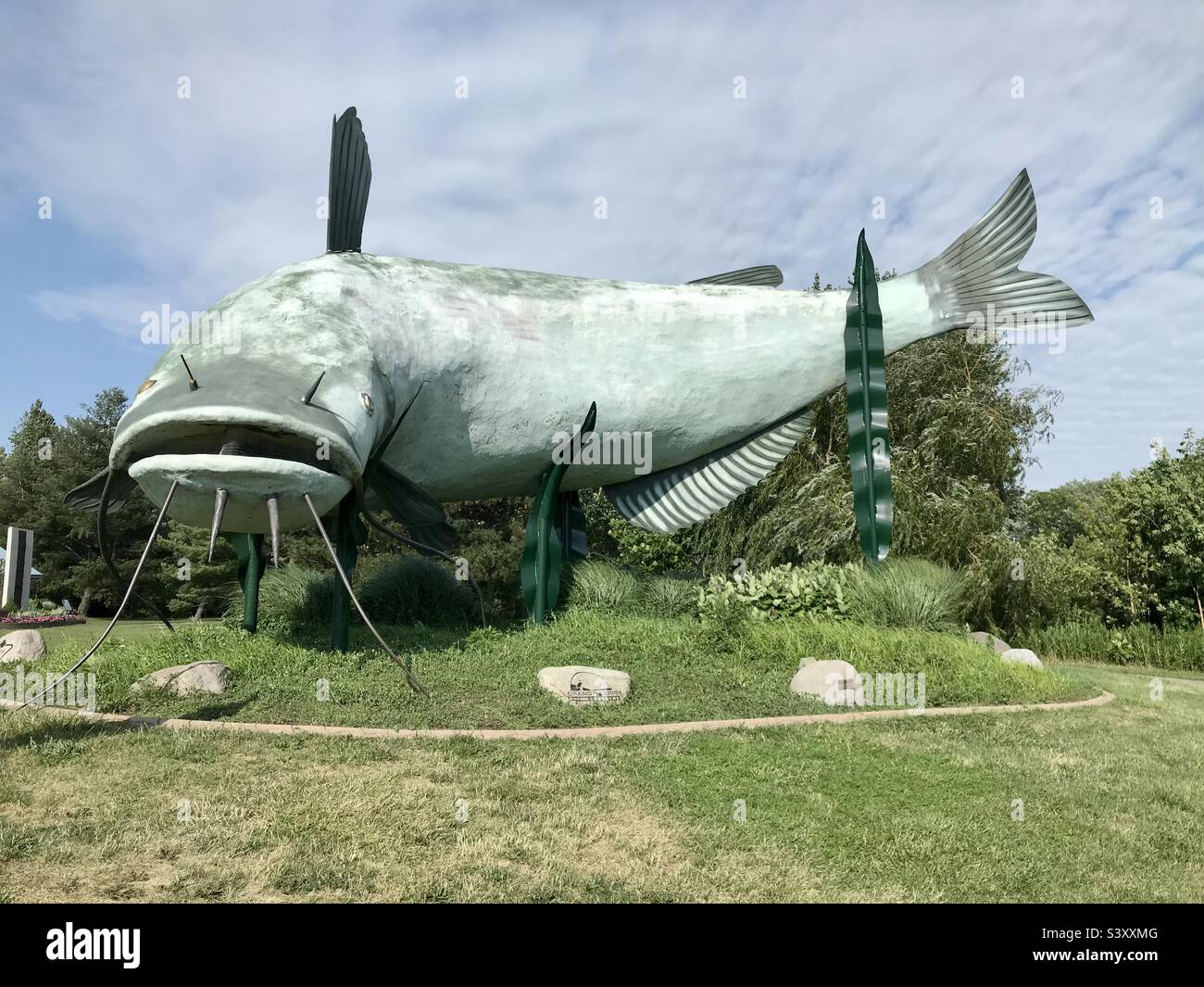 Giant fish hi-res stock photography and images - Alamy