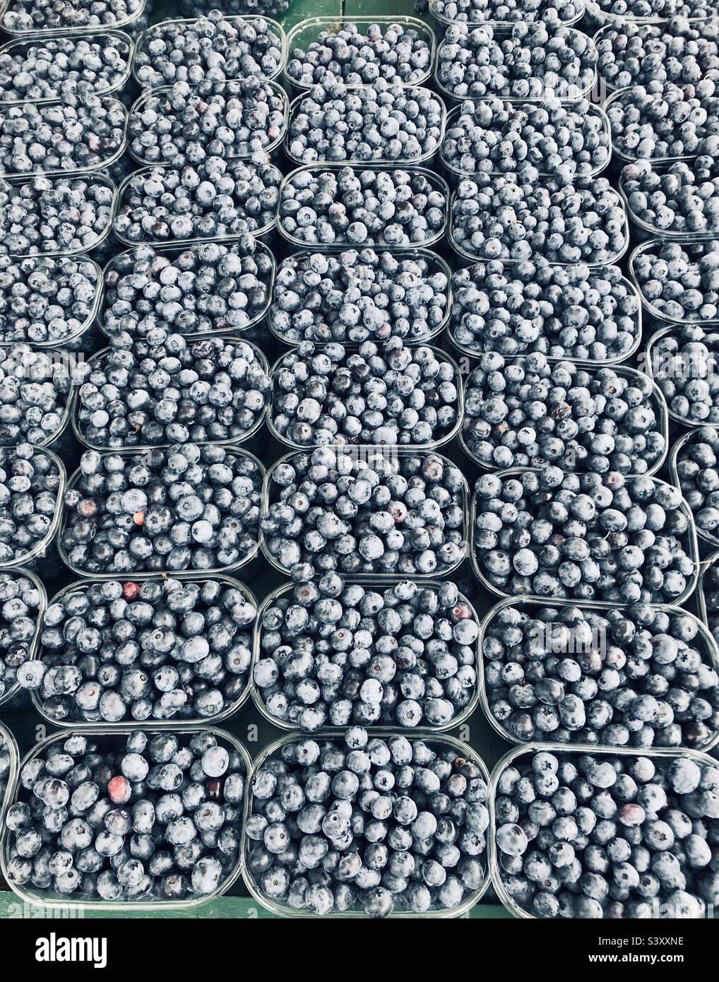 Punnets of blueberries hi-res stock photography and images - Alamy