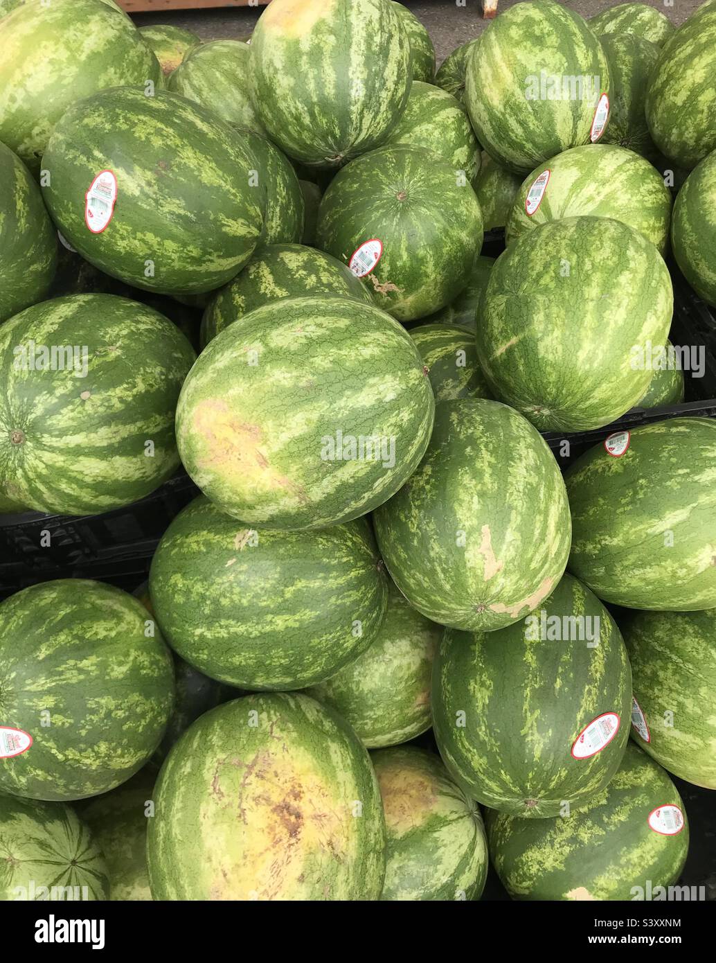Watermelon for sale hi-res stock photography and images - Alamy
