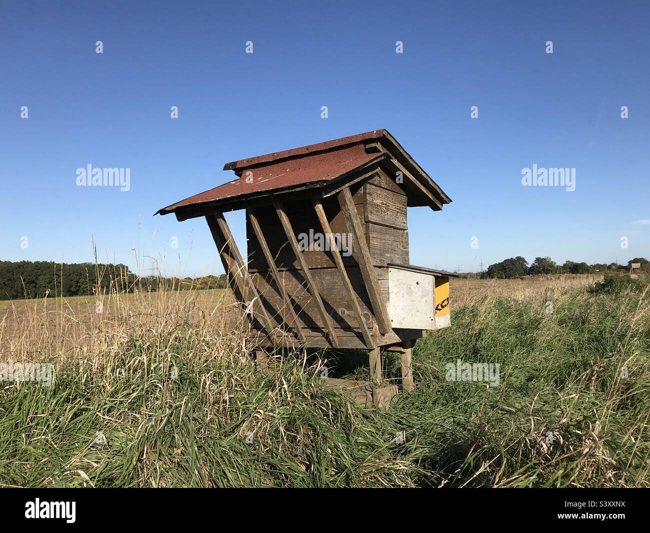 Wood feeder hi-res stock photography and images - Alamy