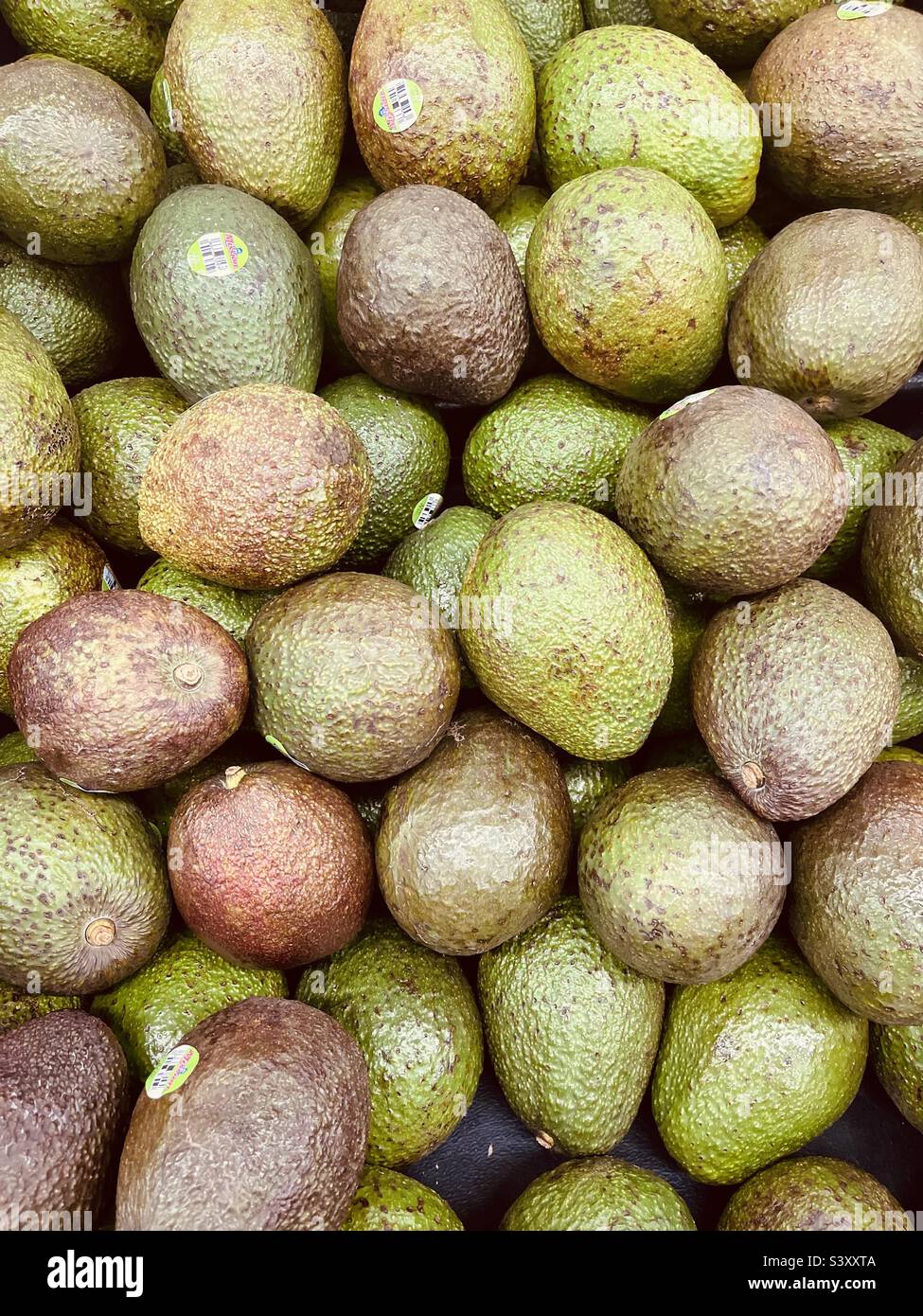 Avacado use hi-res stock photography and images - Alamy