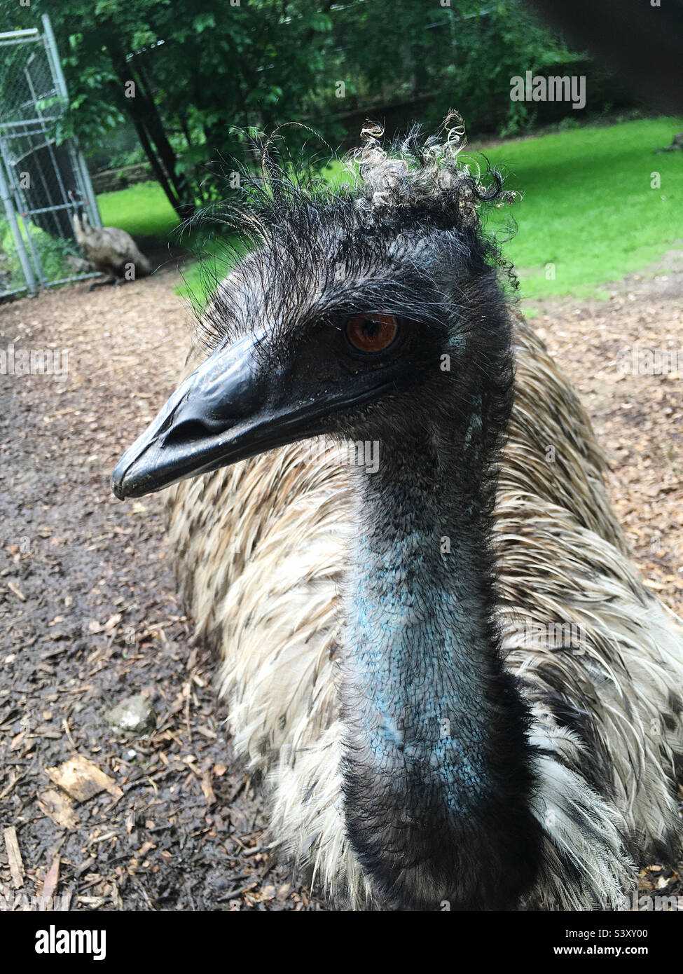 Highpark hi-res stock photography and images - Alamy