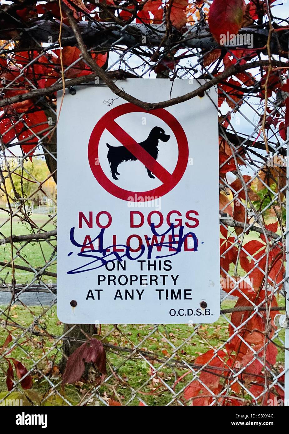 Vandalized No Dogs Allowed sign Stock Photo - Alamy