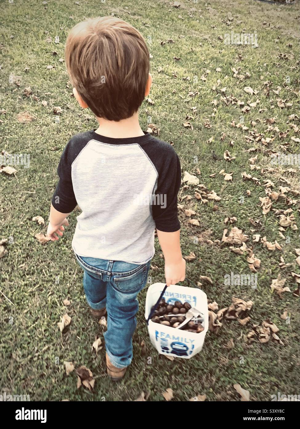Picking pecans hi-res stock photography and images - Alamy