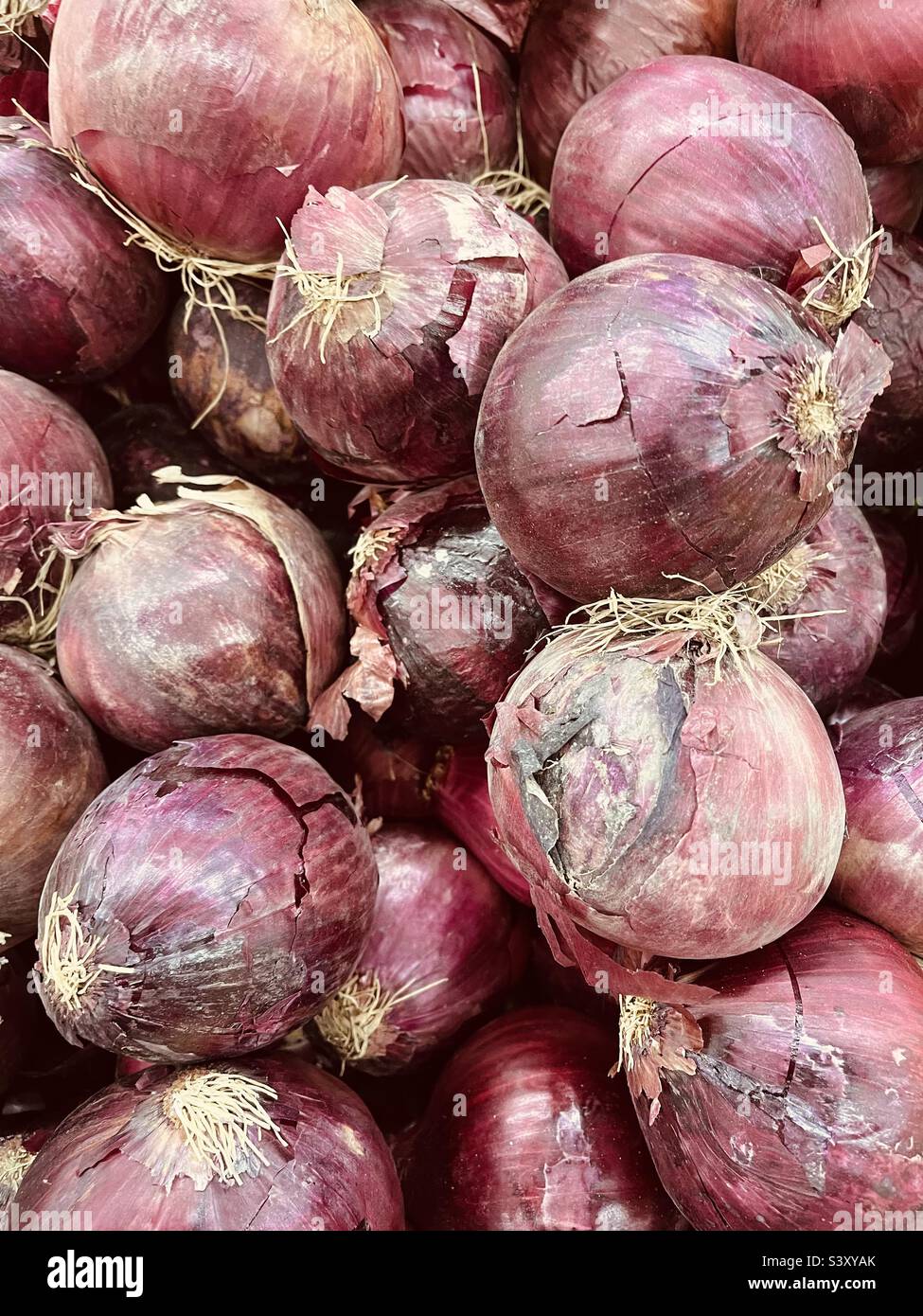 Purple onions hi-res stock photography and images - Alamy
