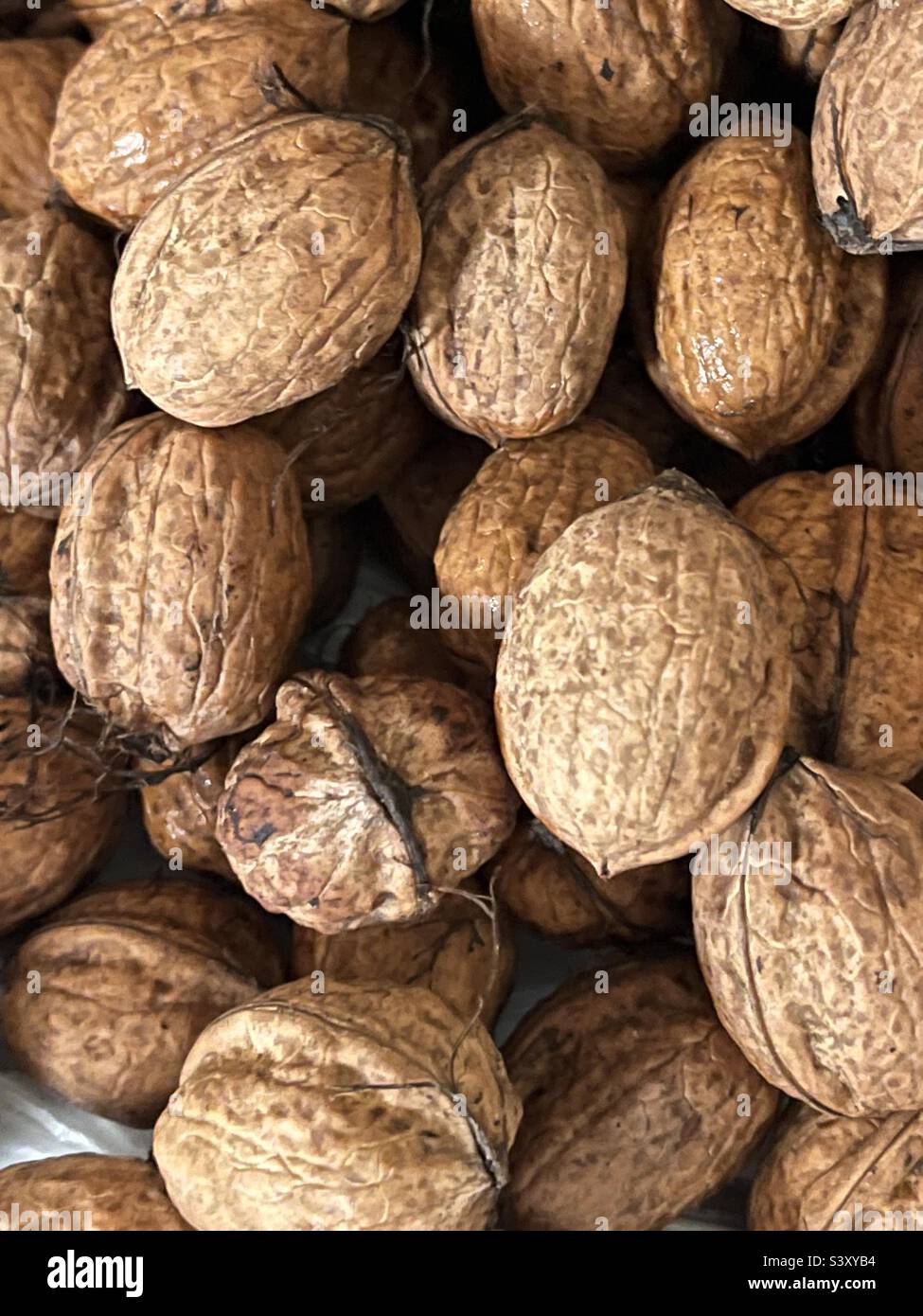 Walnuts picked from tree hi-res stock photography and images - Alamy