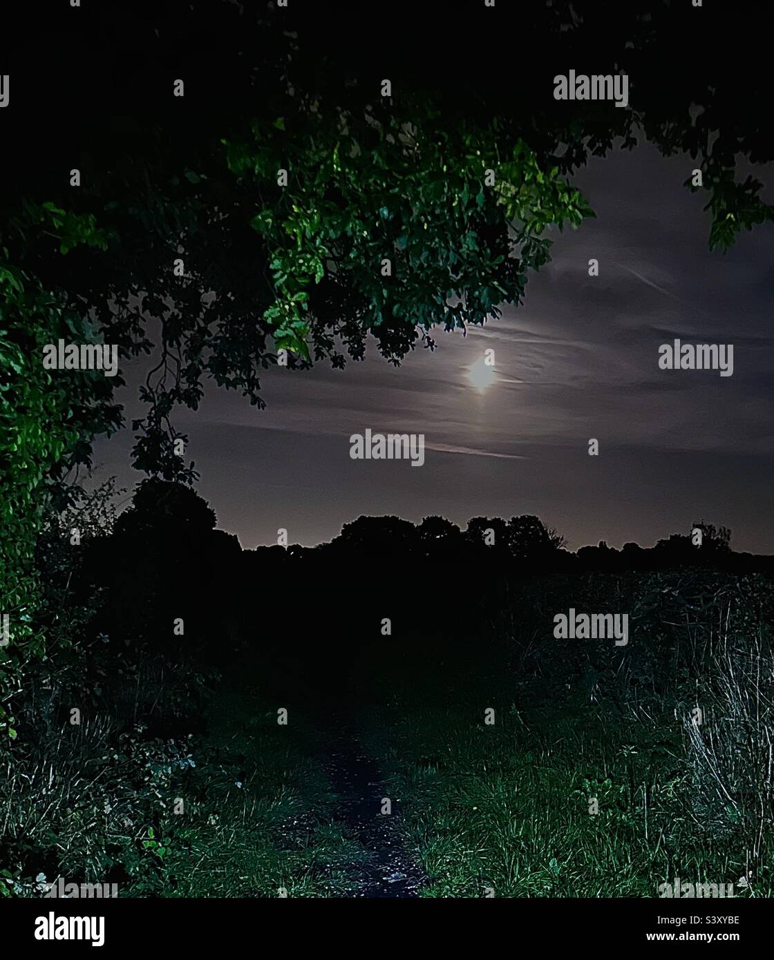 Moonlight trail hi-res stock photography and images - Alamy