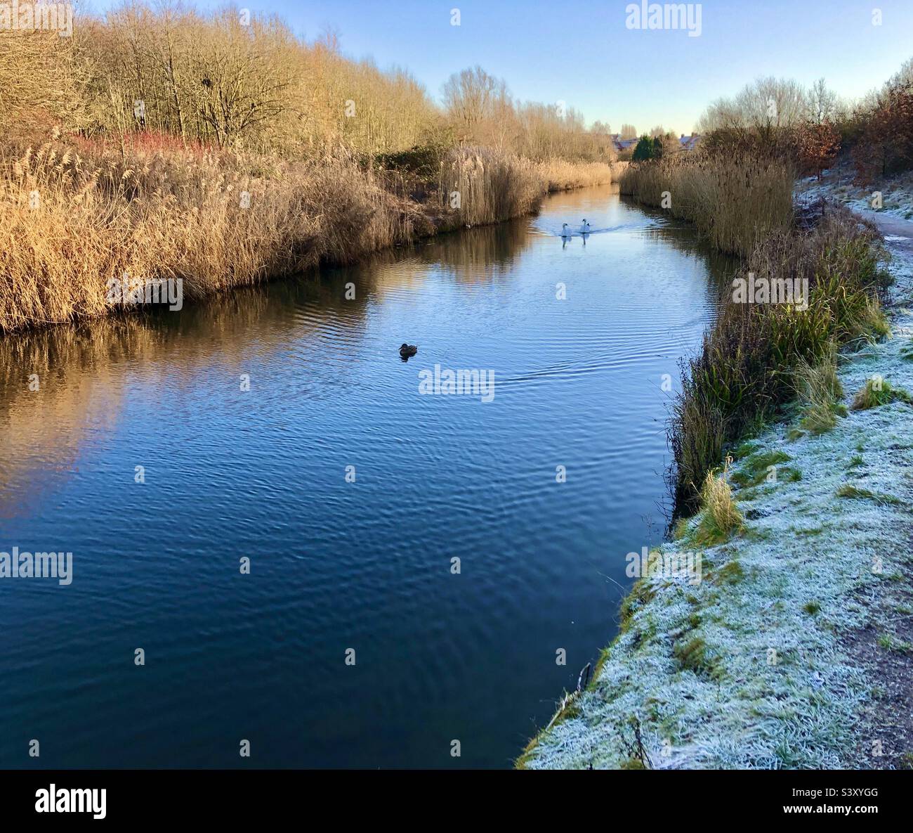 Ashby canal walk hi-res stock photography and images - Alamy