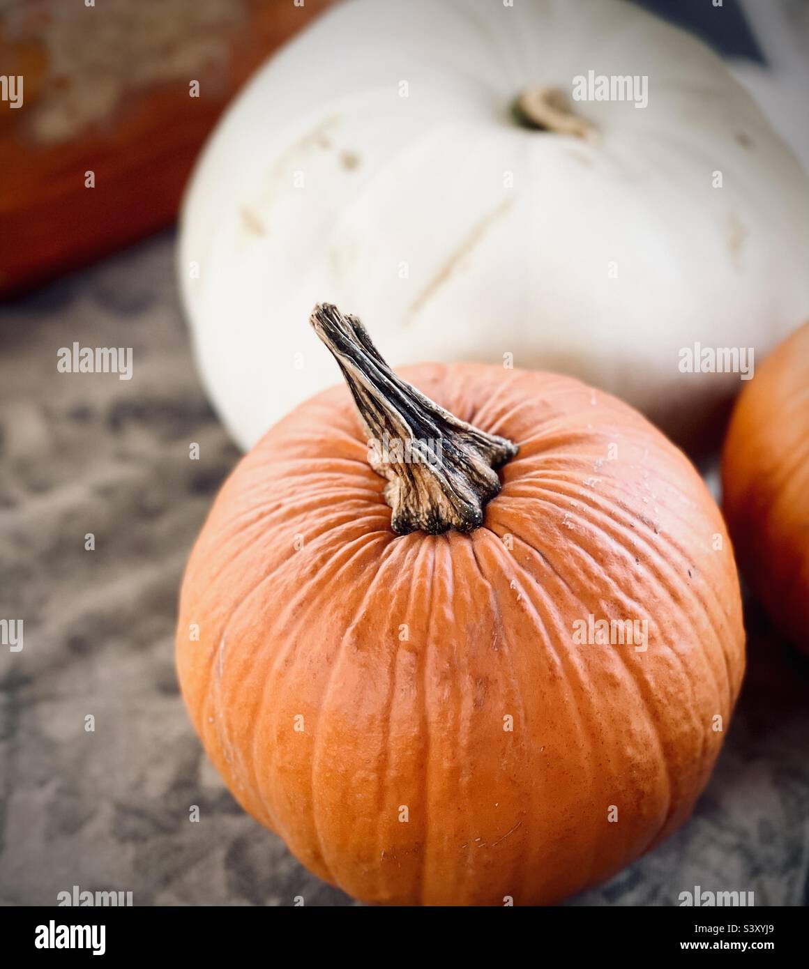 Pumpkins, small & medium sizes Stock Photo - Alamy