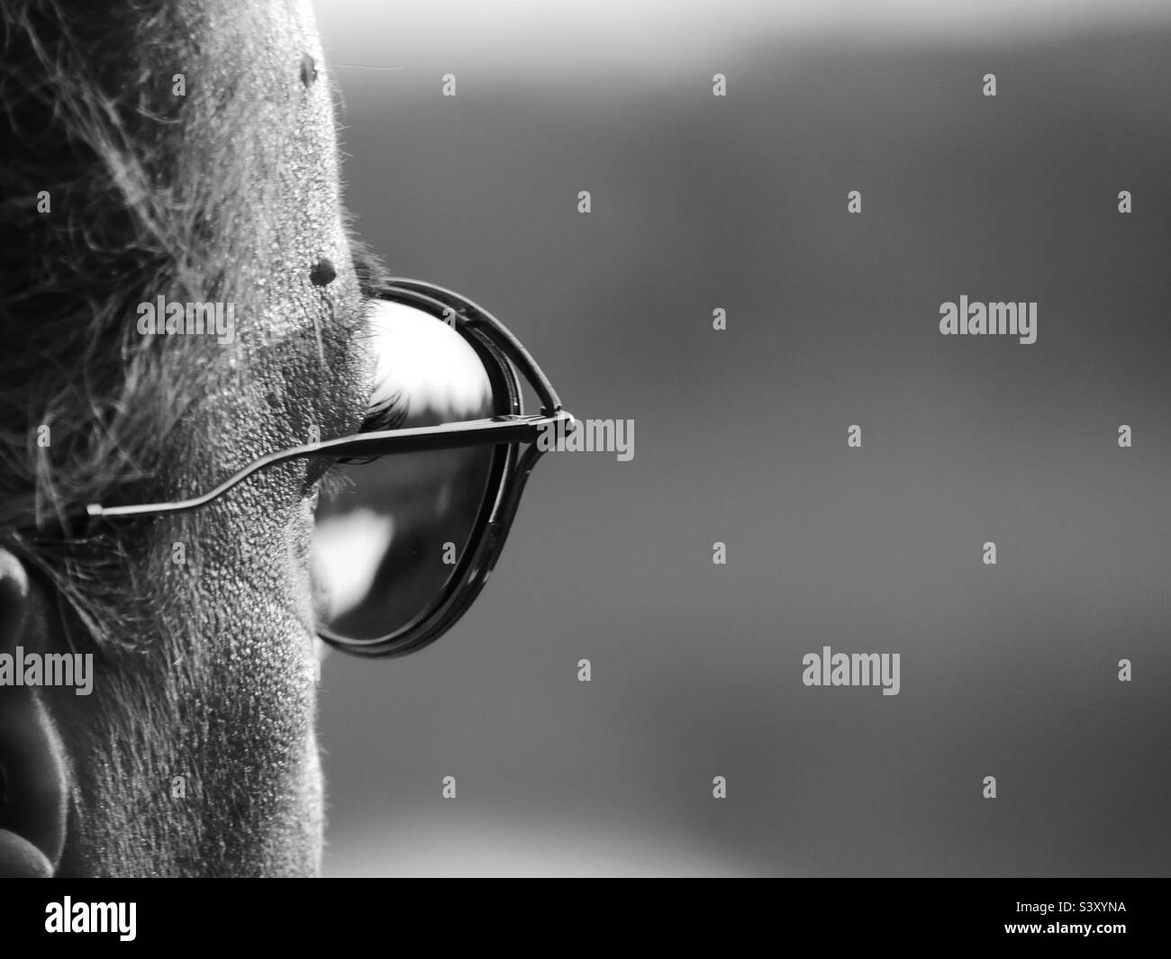 Unclear view Black and White Stock Photos & Images - Alamy