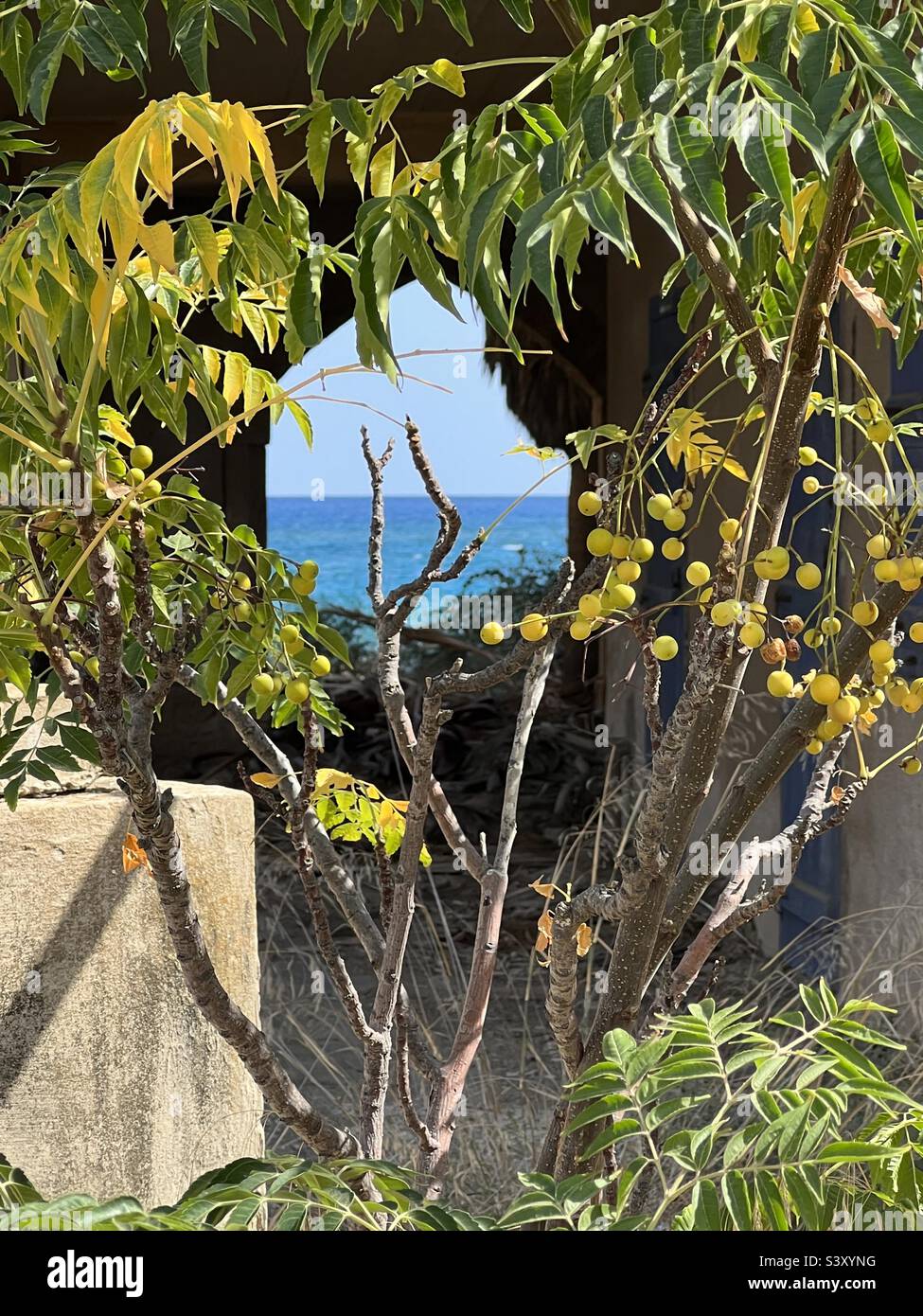 Through archway hi-res stock photography and images - Alamy