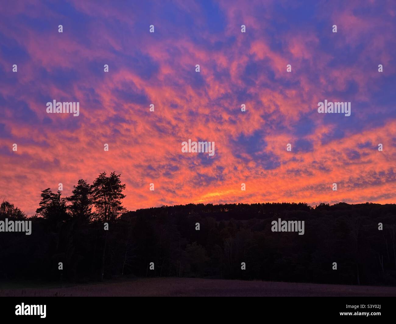 On the farm at dusk hi-res stock photography and images - Alamy