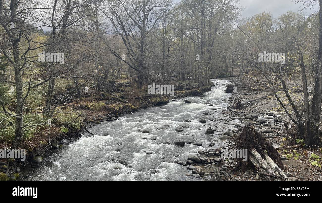 Fast flowing river in wild hi-res stock photography and images - Alamy