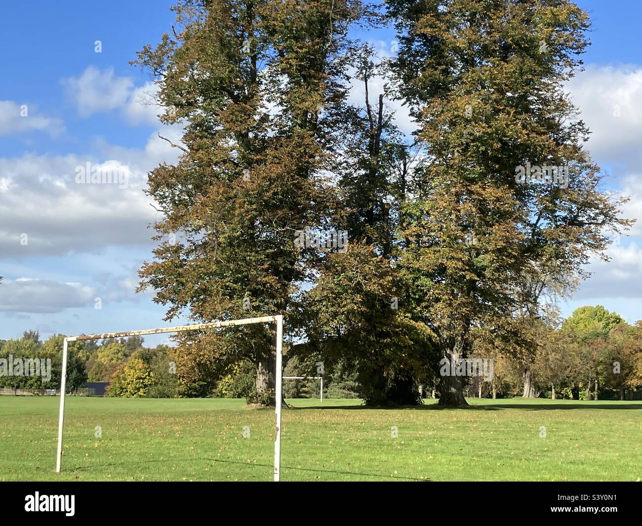 Goal posts & trees Stock Photo - Alamy