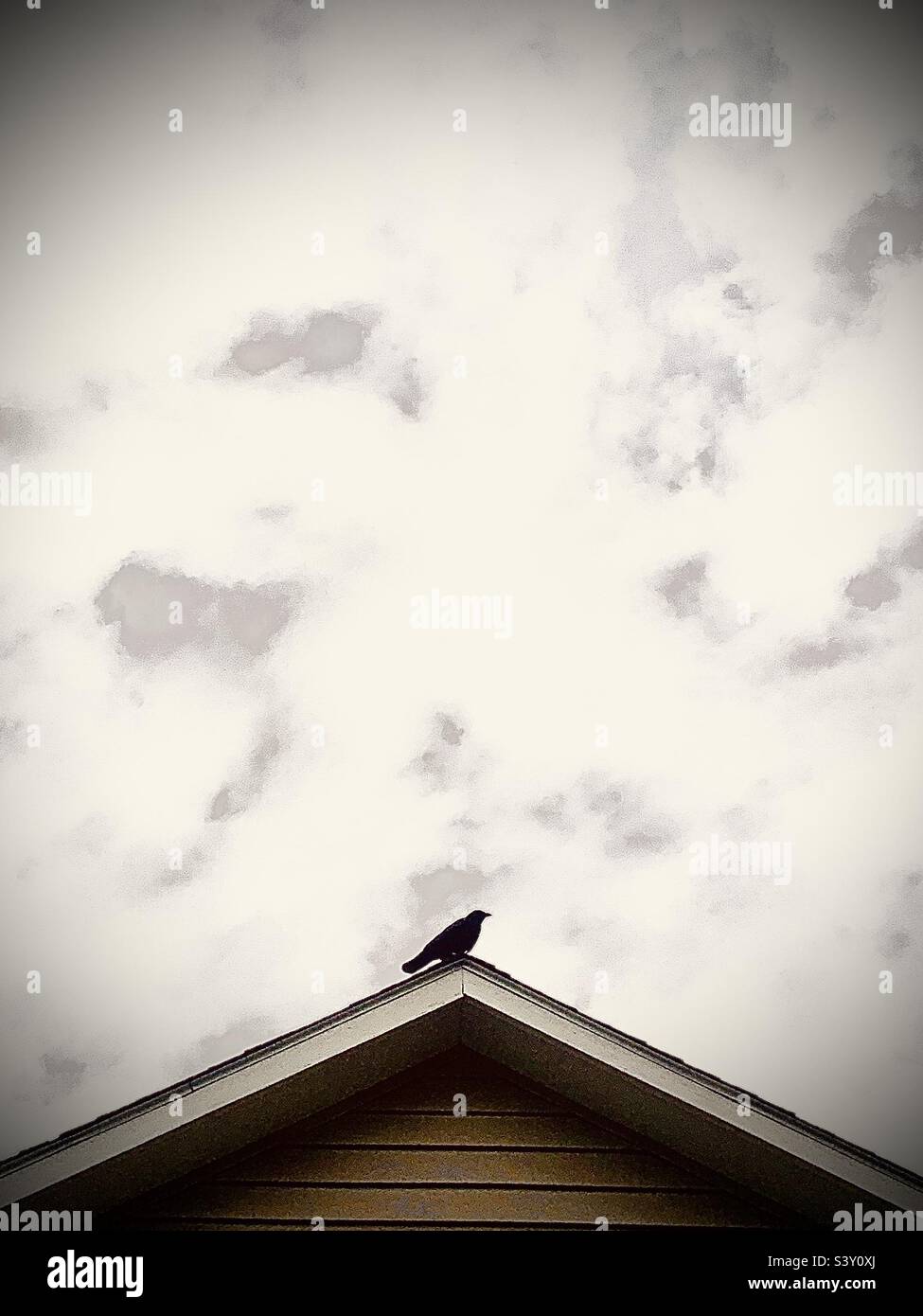 Crow on pitched rooftop in lower portion with eerie sky background for ...