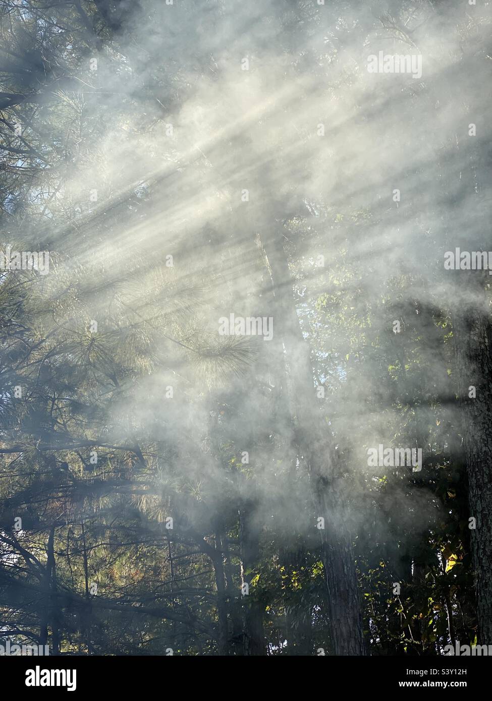 Smoke sunlight hi-res stock photography and images - Alamy