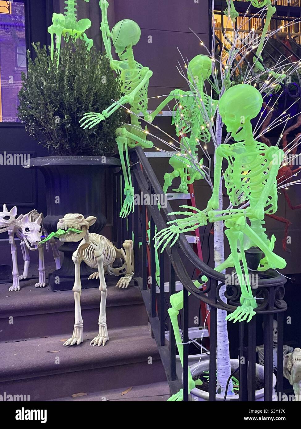 Funny skeletons hi-res stock photography and images - Alamy