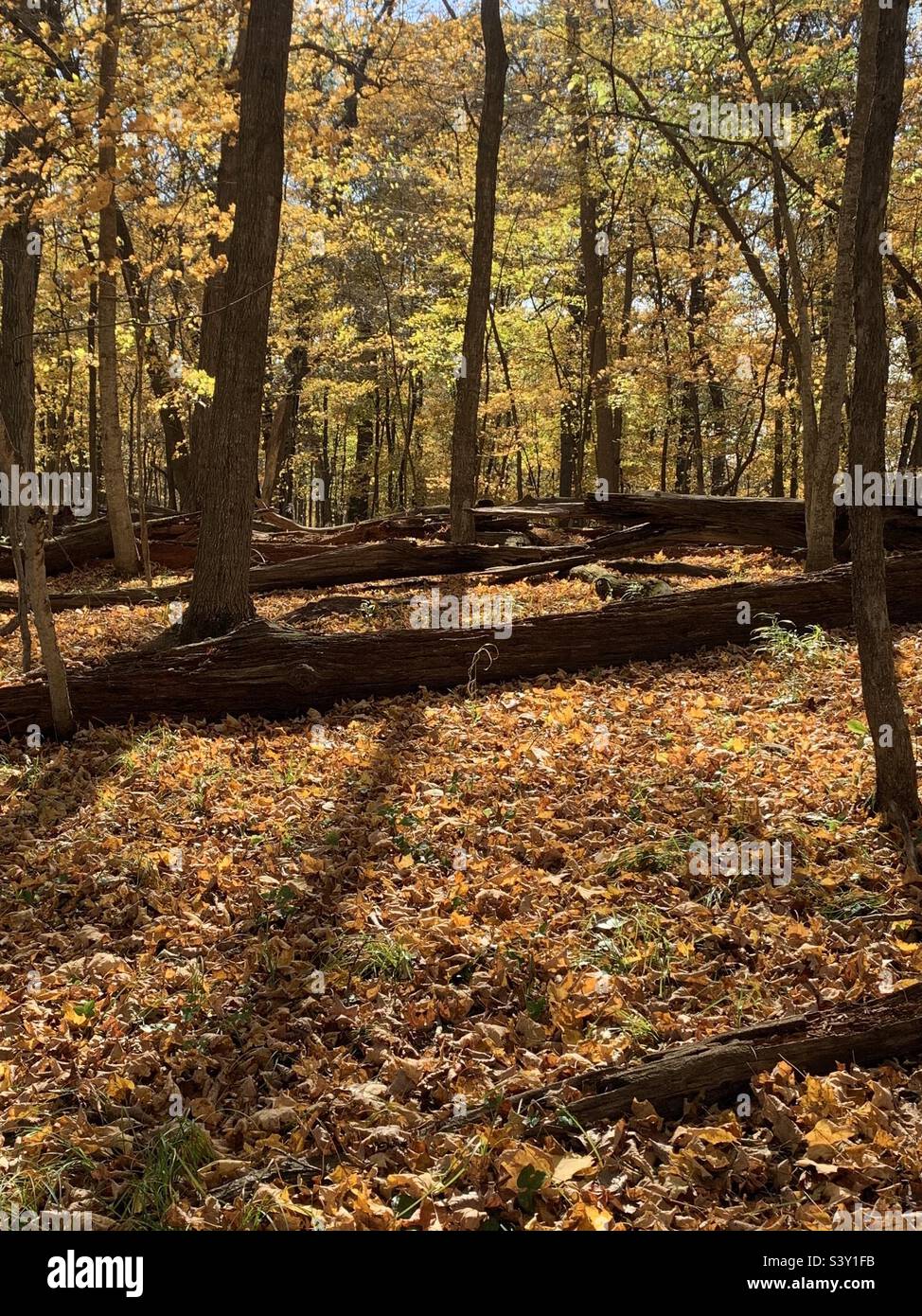 Backbonetrail hi-res stock photography and images - Alamy