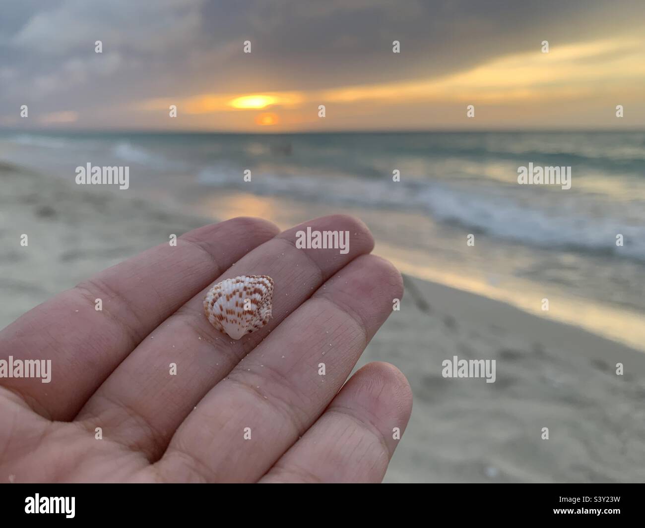 Hand holding shell in the beach. Varadero. Close up Stock Photo - Alamy