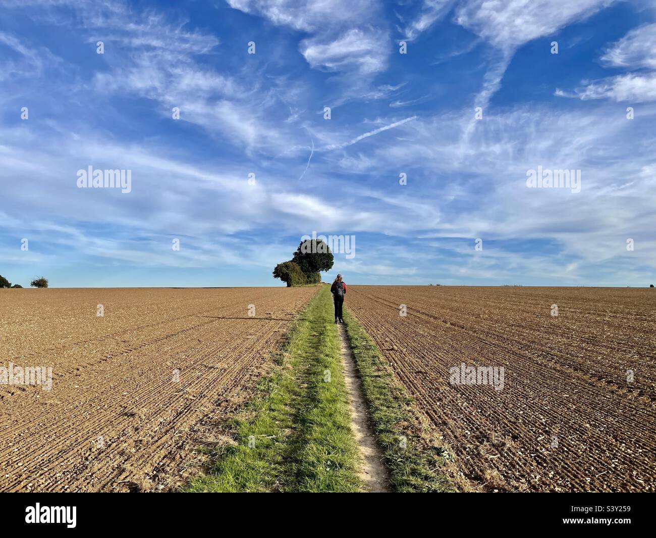 A person walks between two farm fields on a walking path in the ...