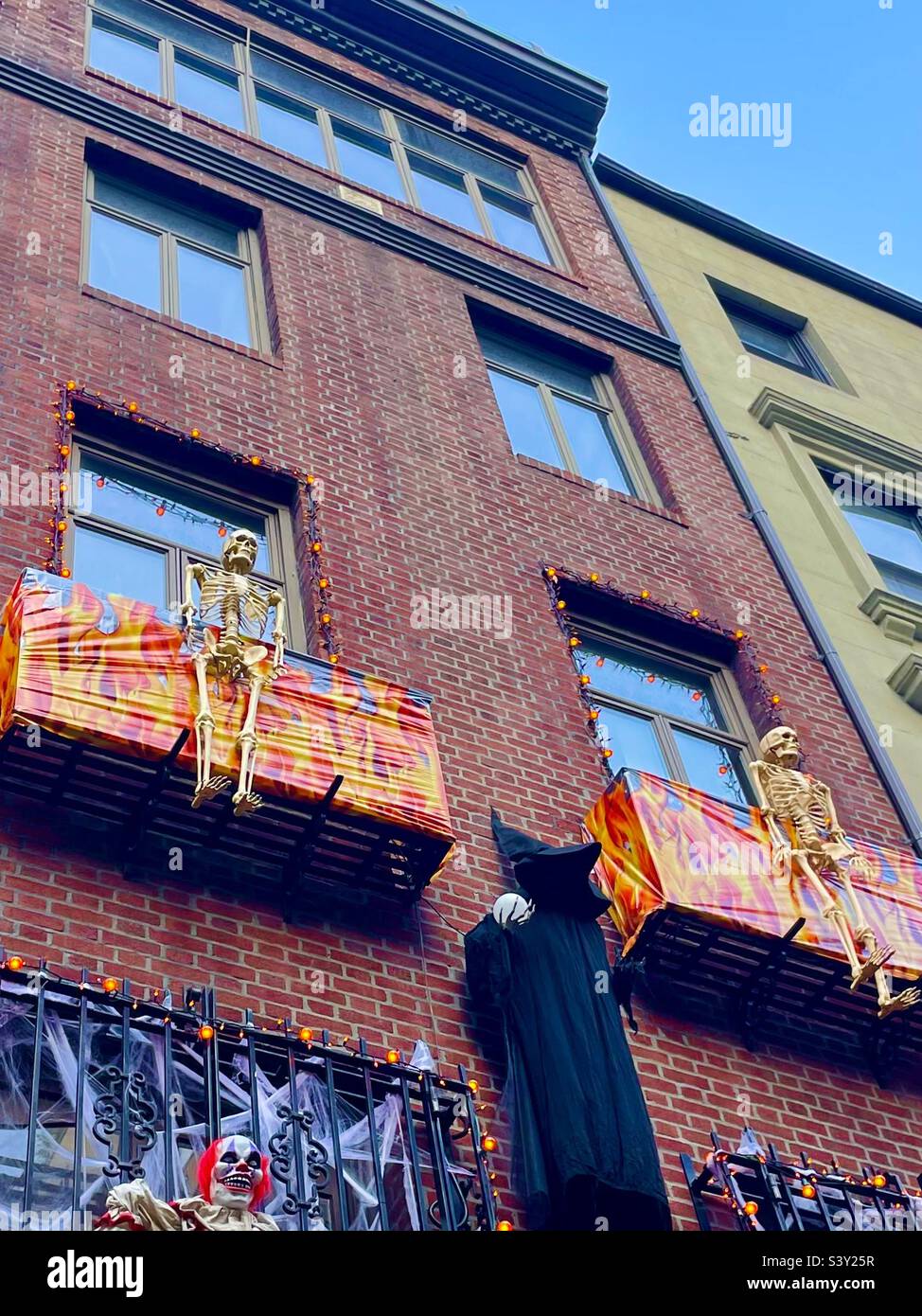 Halloween skeletons sitting outside windows skeleton decorations hi-res ...