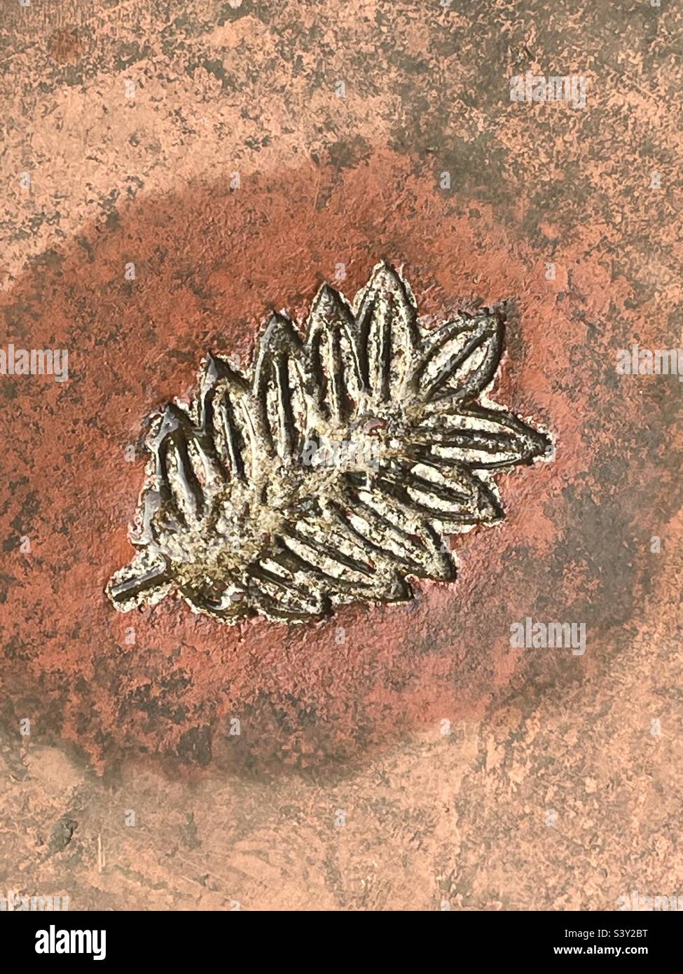 Floor designs hi-res stock photography and images - Alamy