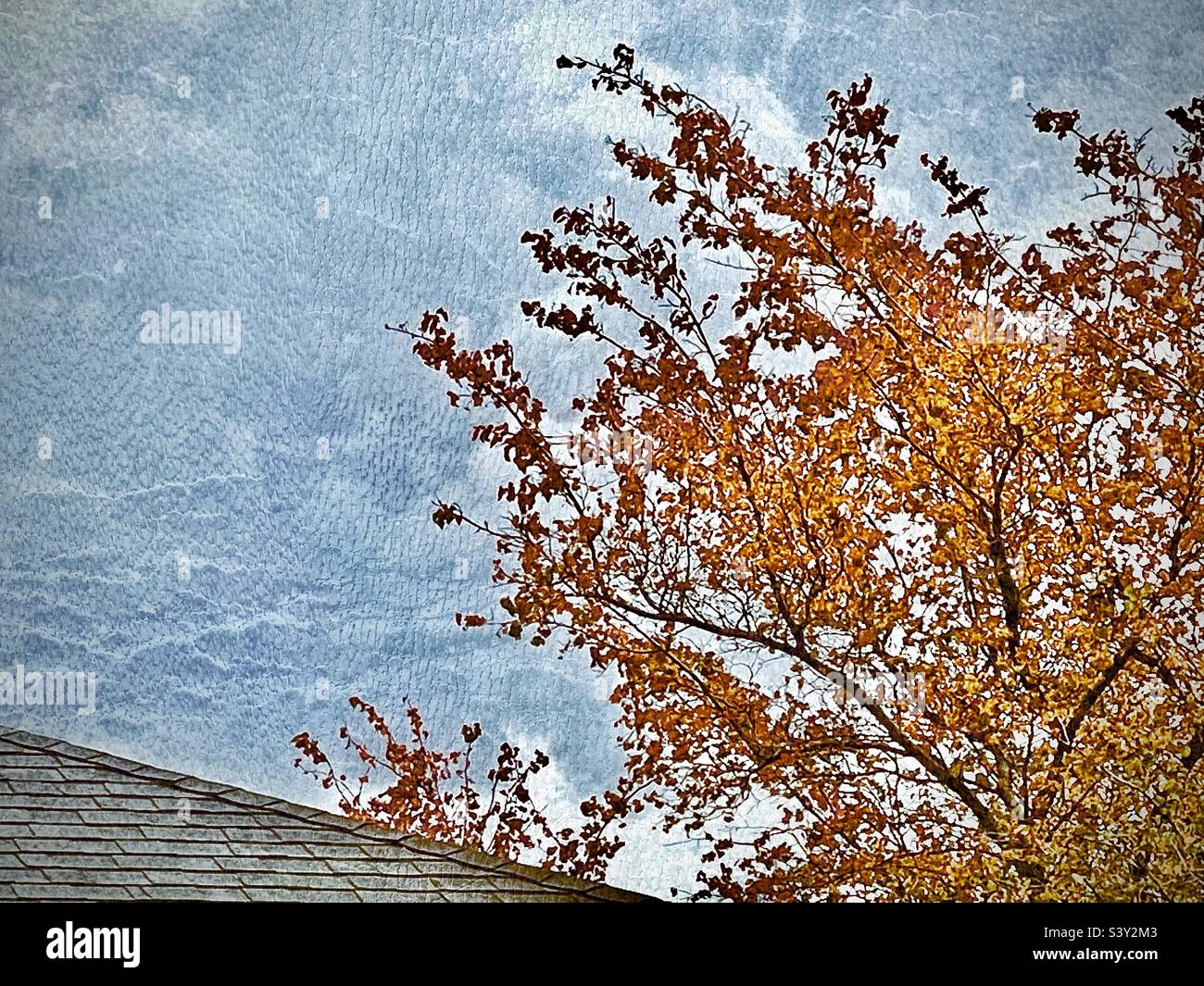 Church building rooftop meets a gold and orange autumn tree that is ...