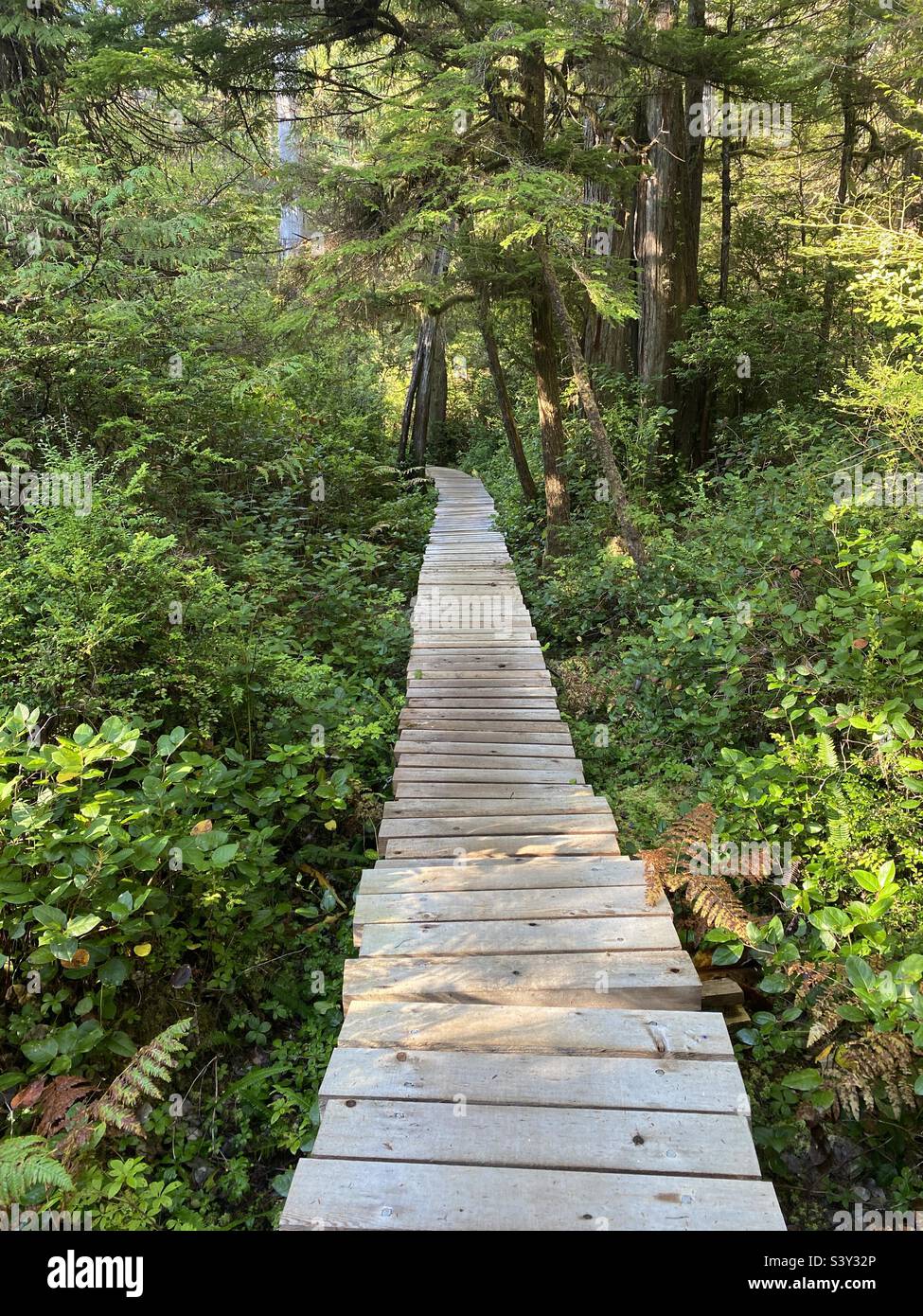 Boardwalk trail hi-res stock photography and images - Alamy