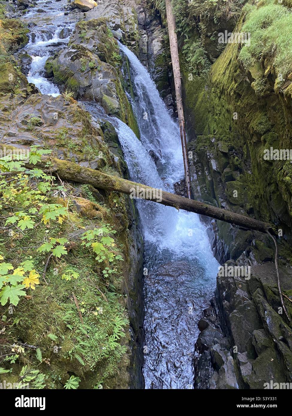 Sol duc hot springs campground hi-res stock photography and images - Alamy