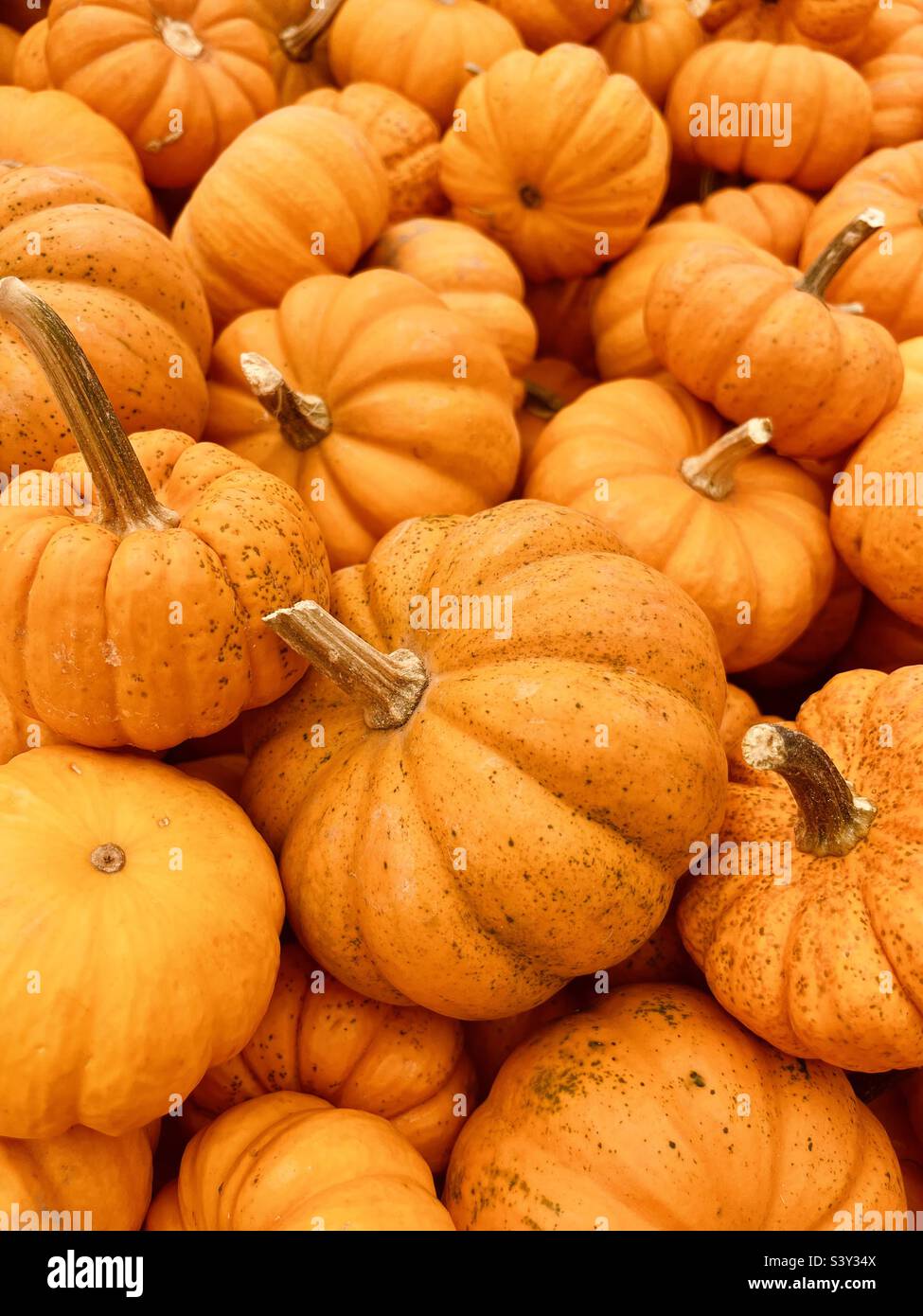 Orange mini hi-res stock photography and images - Alamy
