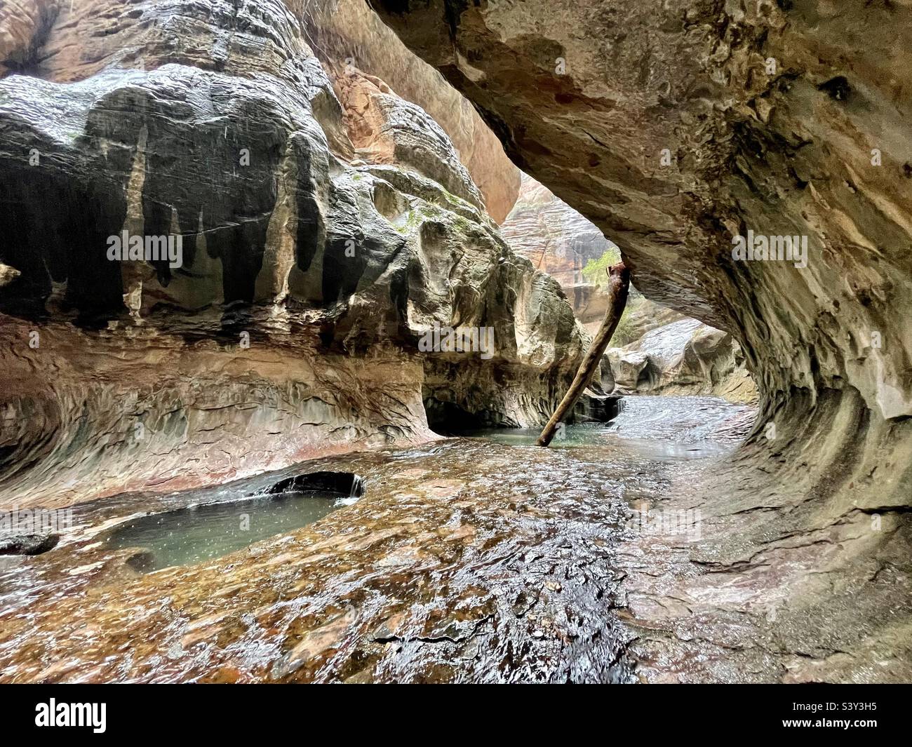 Subway trail in Zion National Park, Utah Stock Photo - Alamy