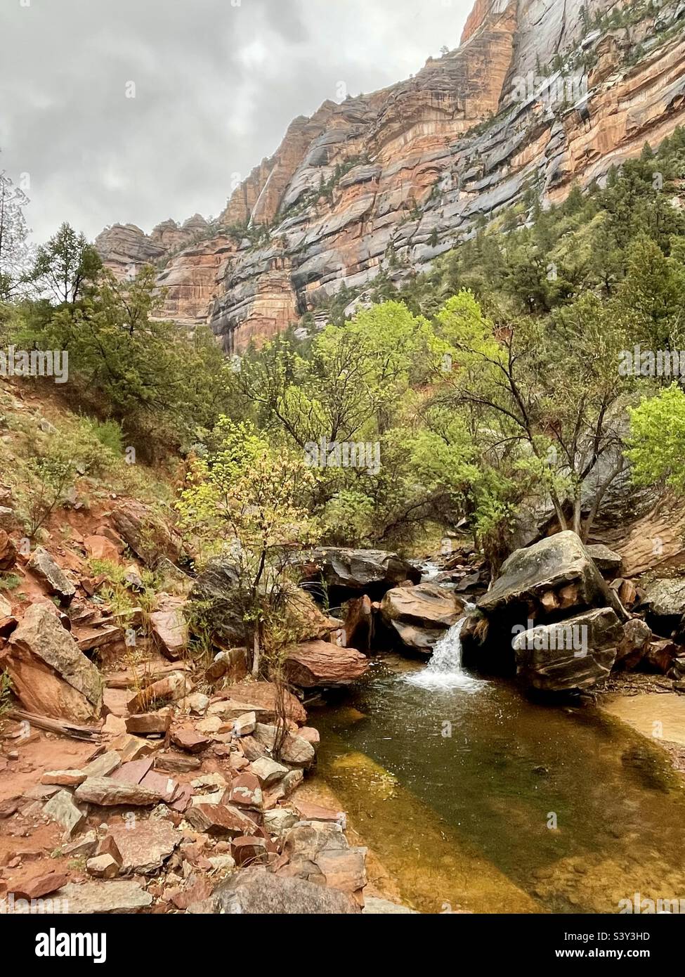 Subway trail in Zion National Park, Utah Stock Photo - Alamy